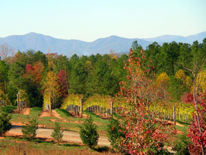 Green Creek - First Peak of the Blue Ridge